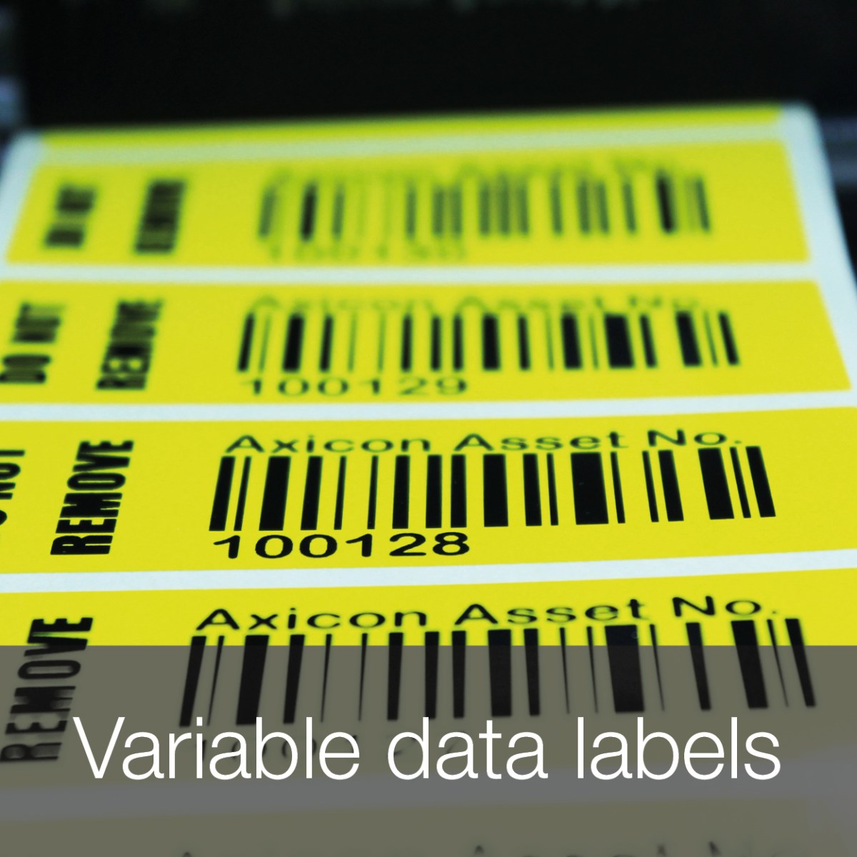 Labels - Axicon Labels